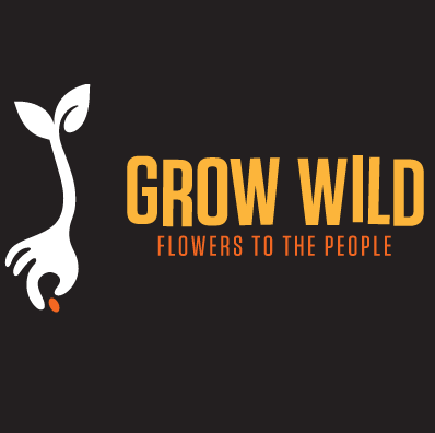 FREE Grow Wild Seed Kits | Gratisfaction UK