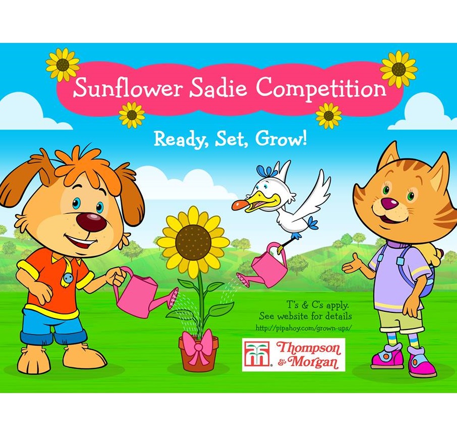 FREE Pip Ahoy Sunflower Seeds | Gratisfaction UK