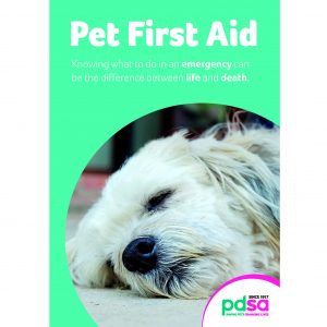 FREE PDSA Pet First Aid Guide | Gratisfaction UK
