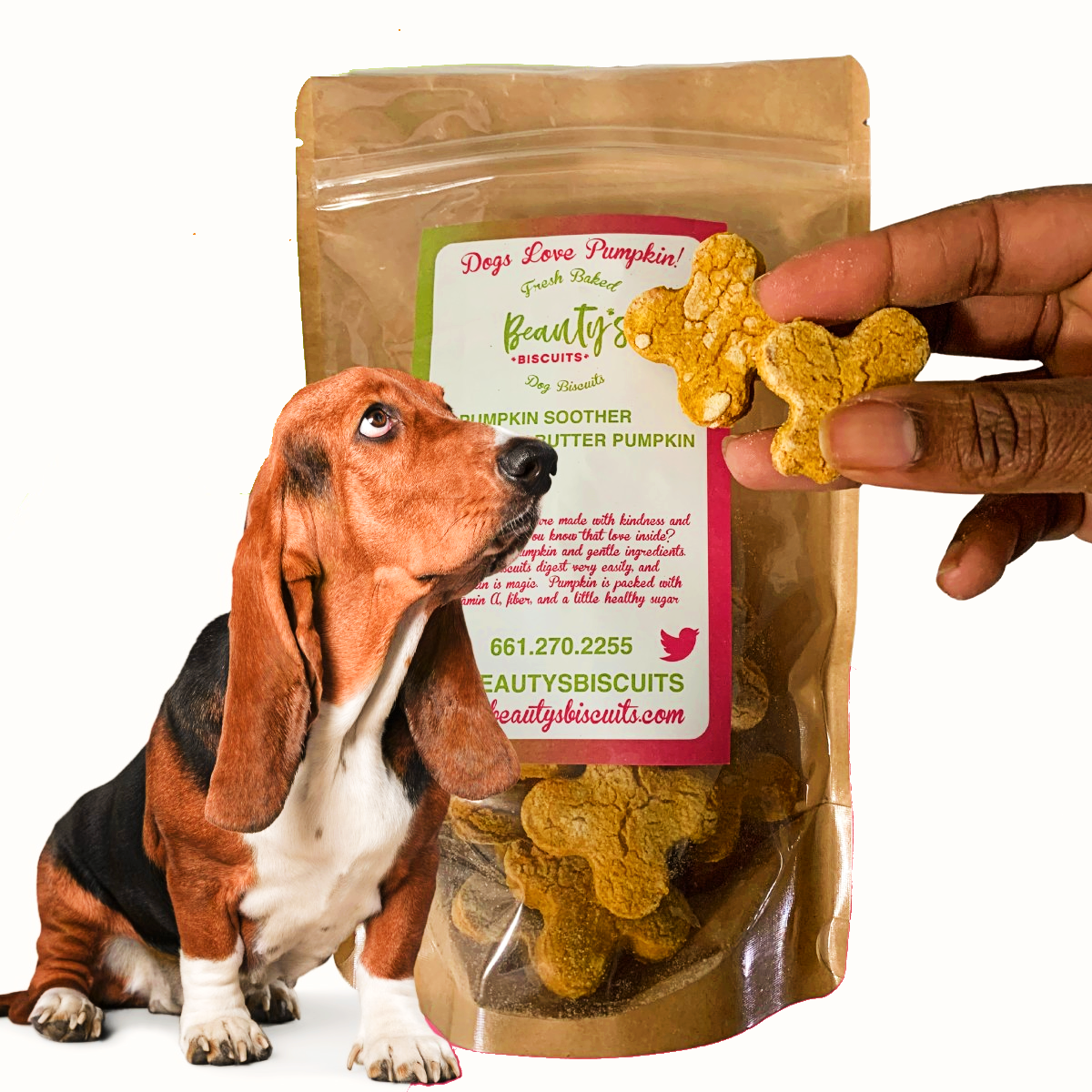 FREE Dog Treats | Gratisfaction UK
